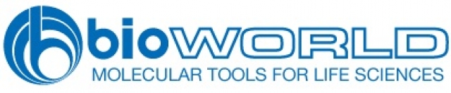 bioWORLD 研究用試薬｜試薬｜試薬その他｜製品紹介｜理化学研究機器・消耗品のBMS － バイオメディカルサイエンス